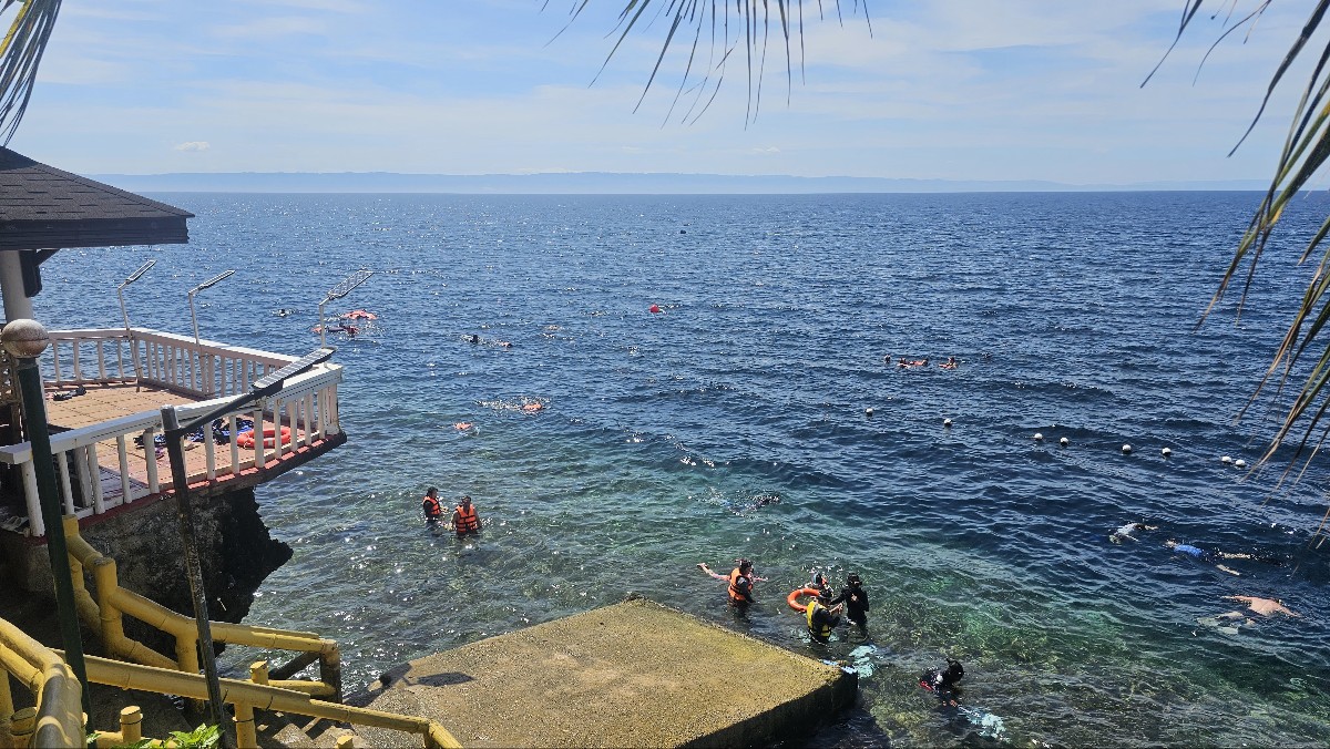 About - Flyingfish Scuba Dive | Bohol | Napaling | Philippine